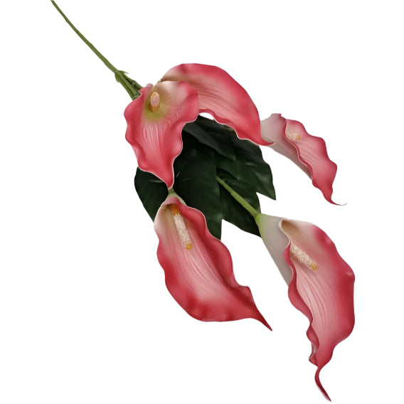 Cala Lily 92cm - Pink – Grandiflora