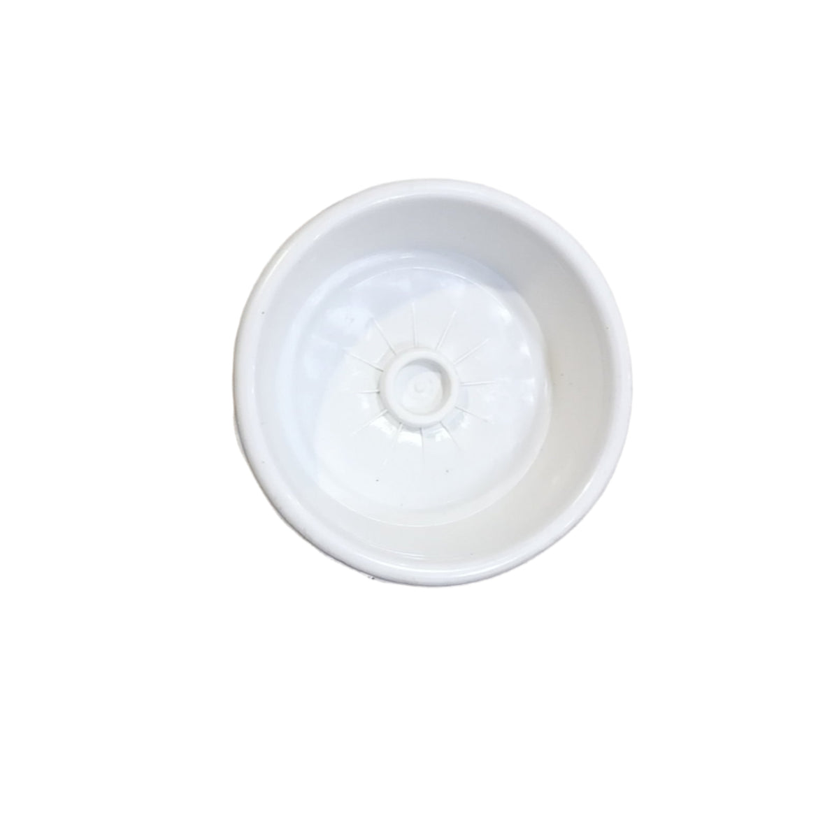 Oasis bowl 16/17cm white – Grandiflora